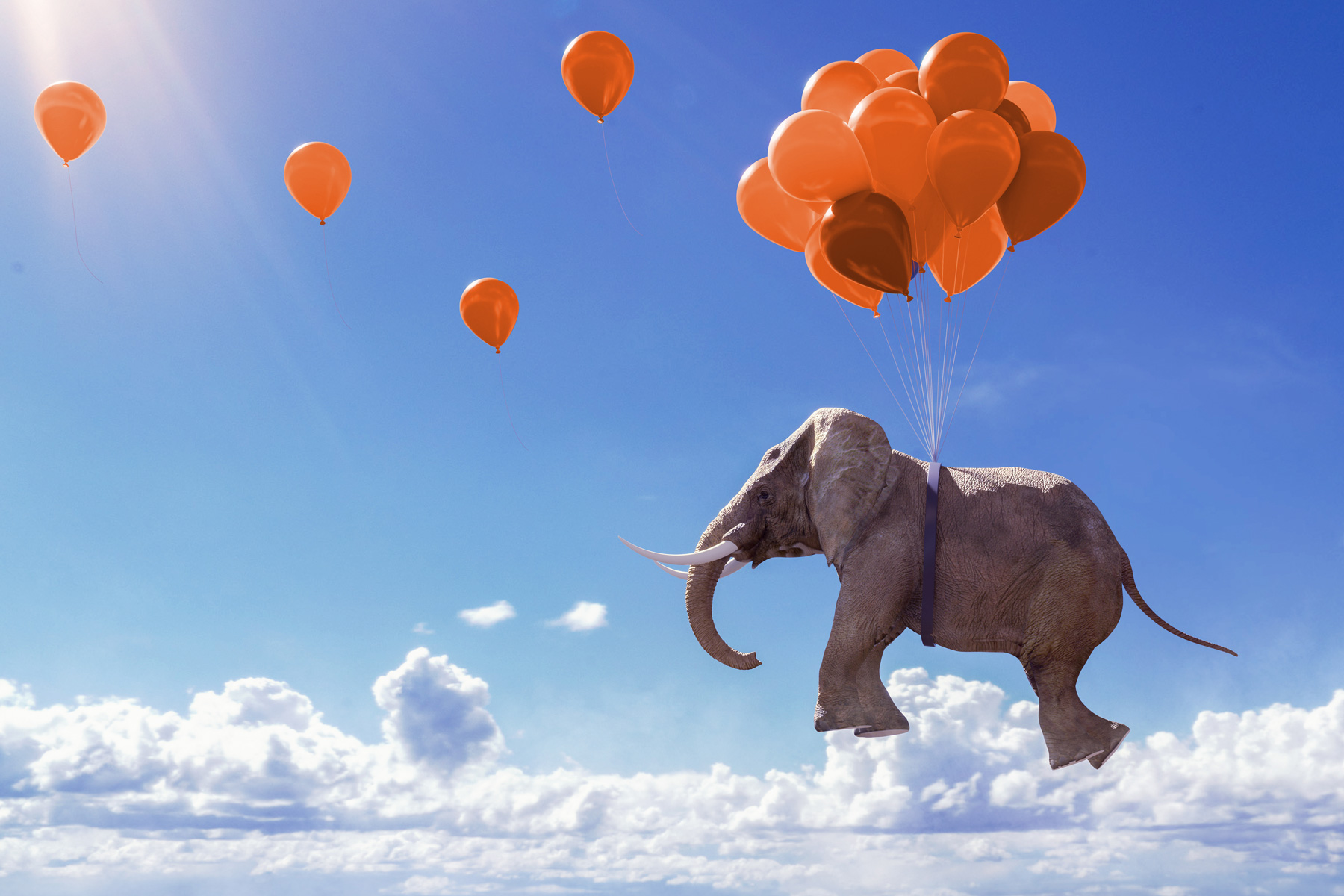 WORKforce Leasing S&R GmbH